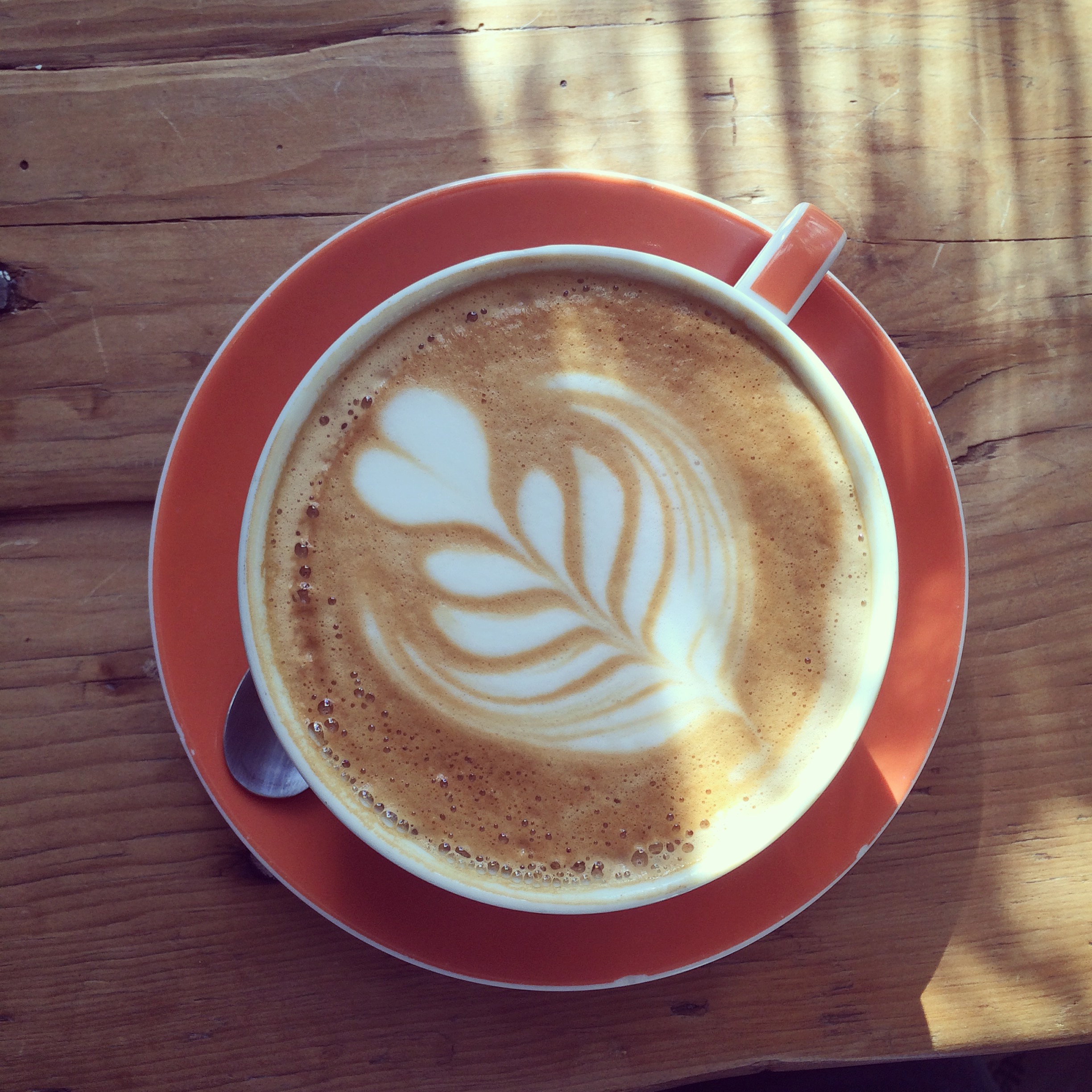 Single Origin Chocolate: The First Bite – 37 Chocolates