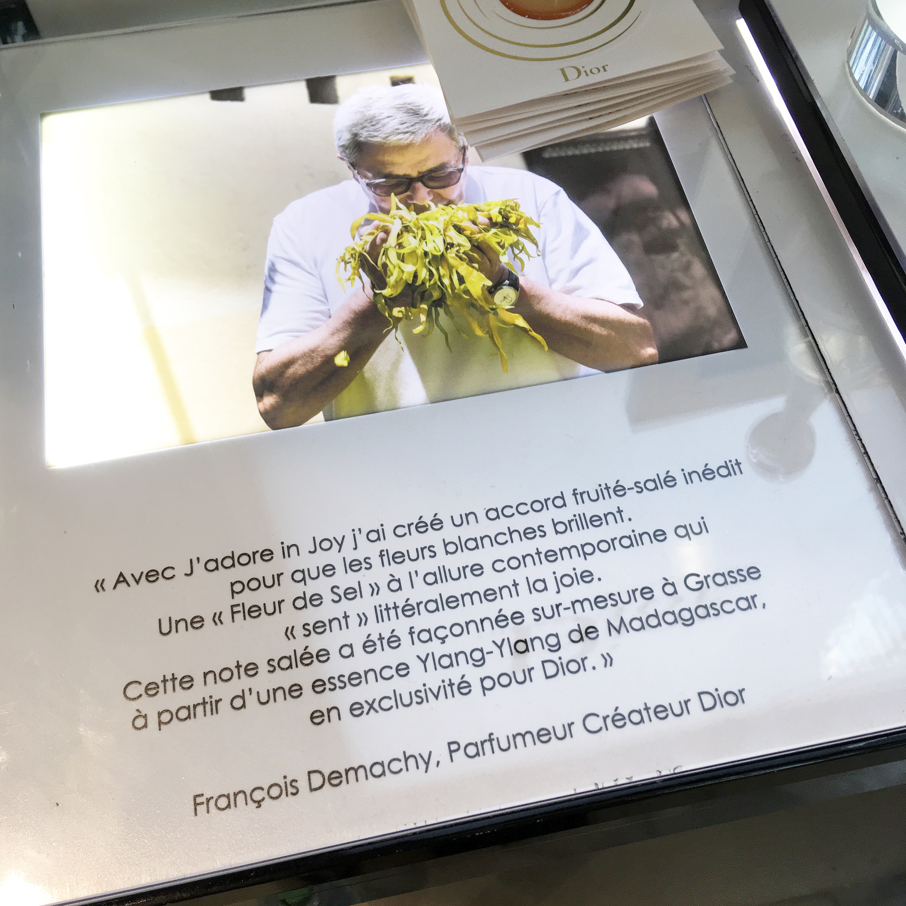 The Taste of Joy – 37 Chocolates